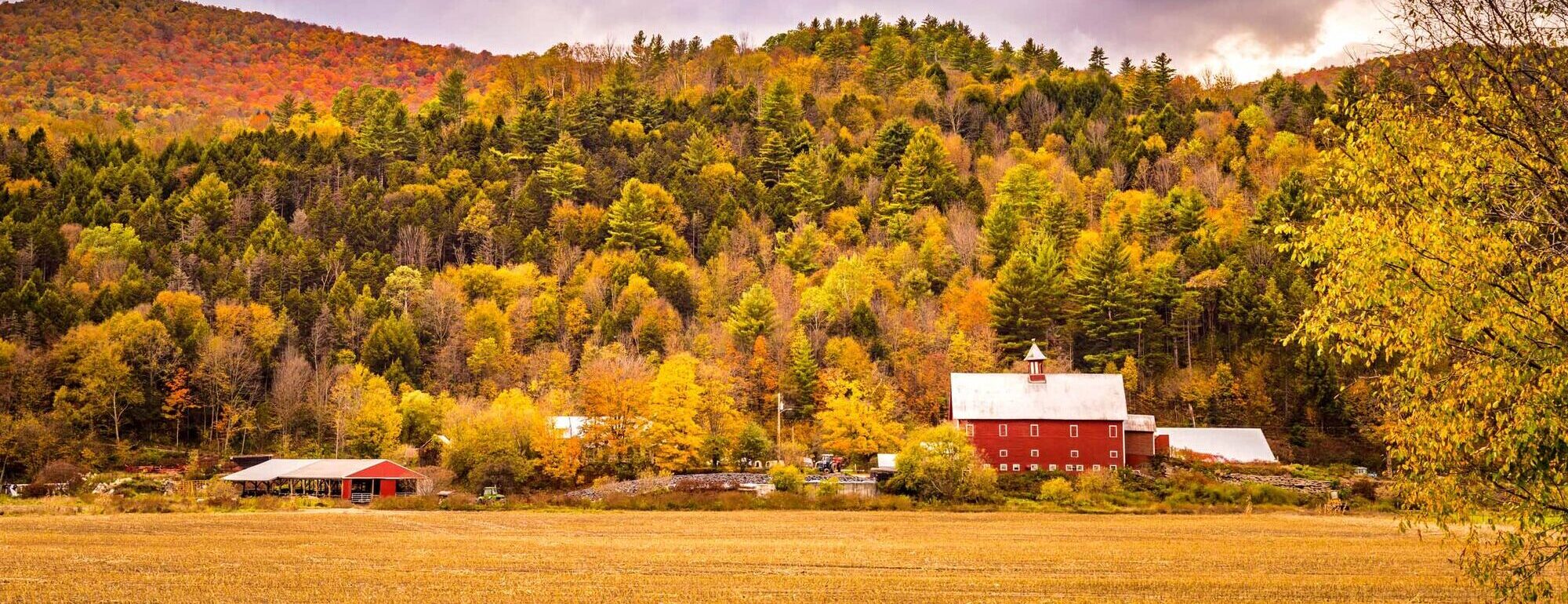 Vermont Fall Colors