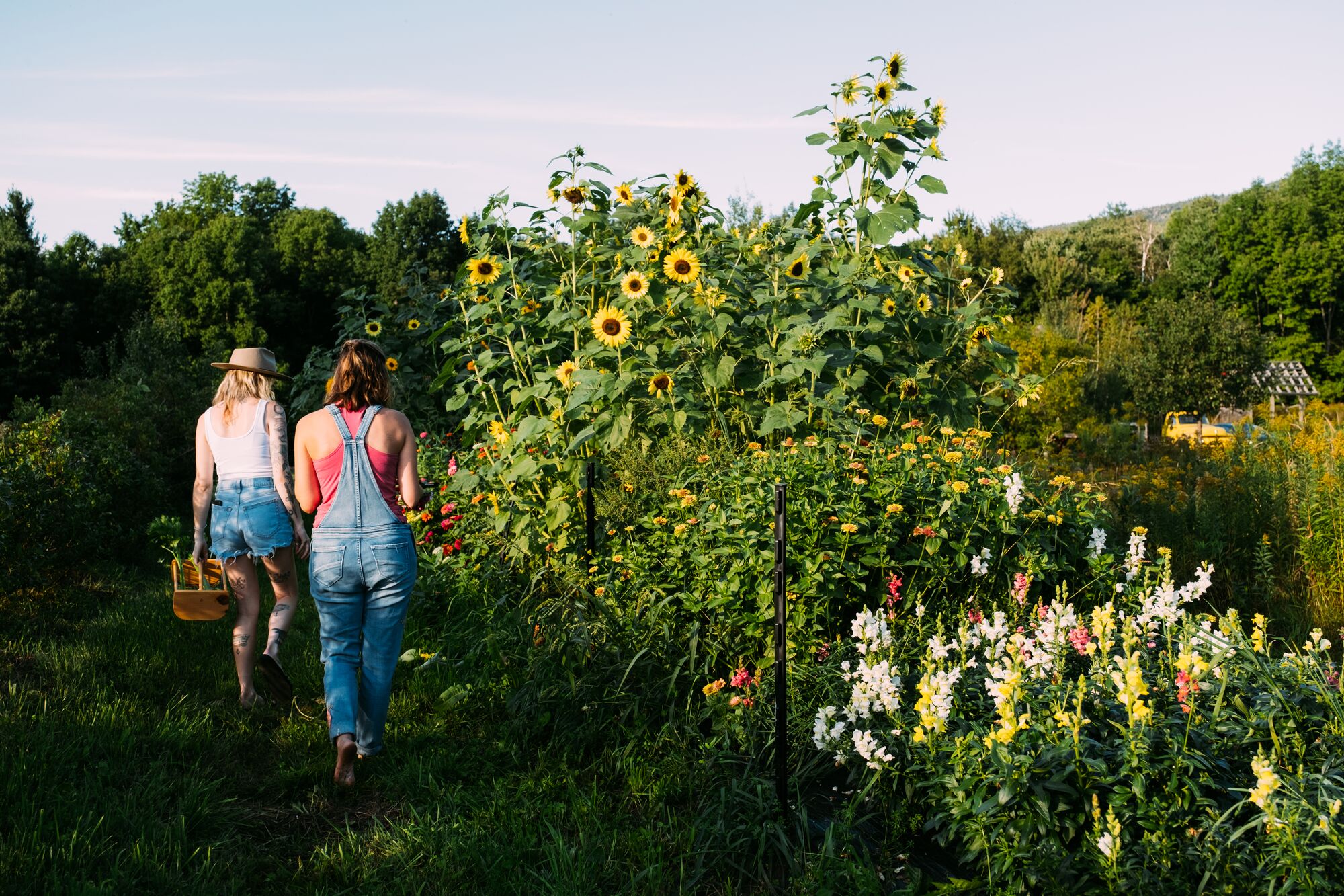 Food and Farm Experiences | Vermont Tourism