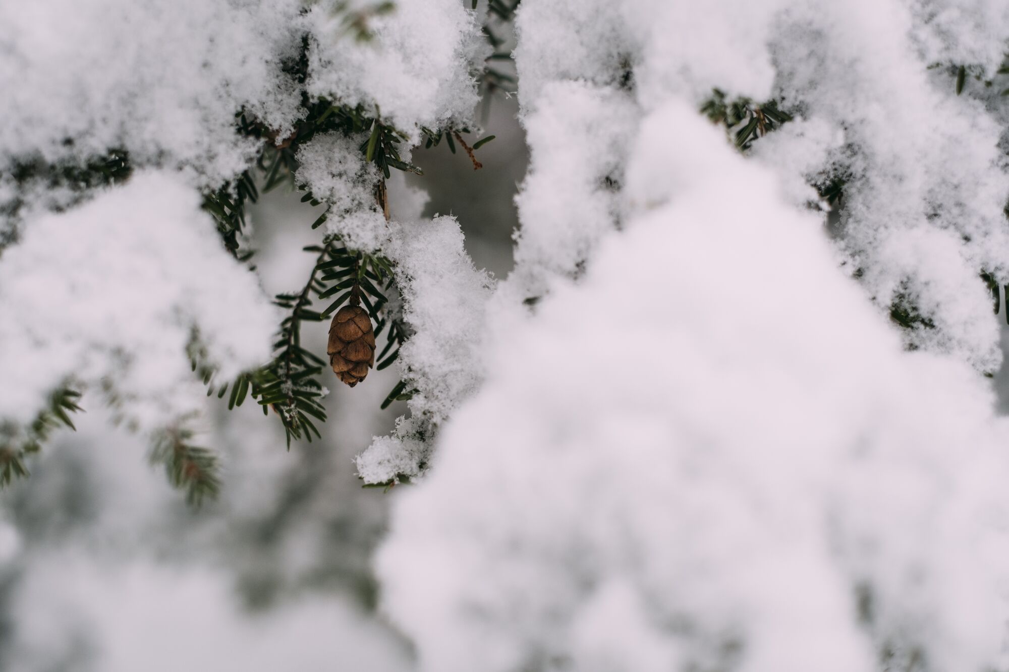 Three Vermont Winter Activities | Vermont Tourism