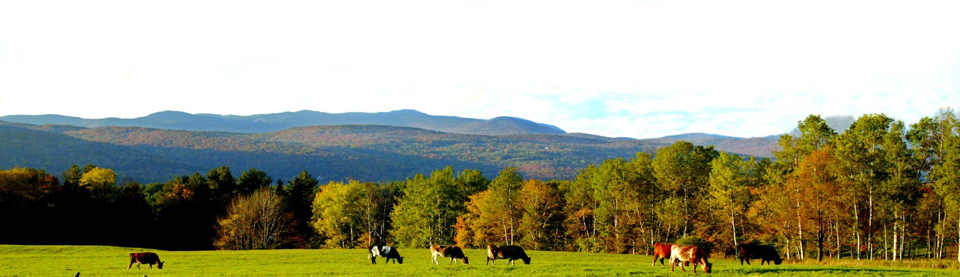 Peaceful Family Retreat at Quimby Country | Vermont Tourism