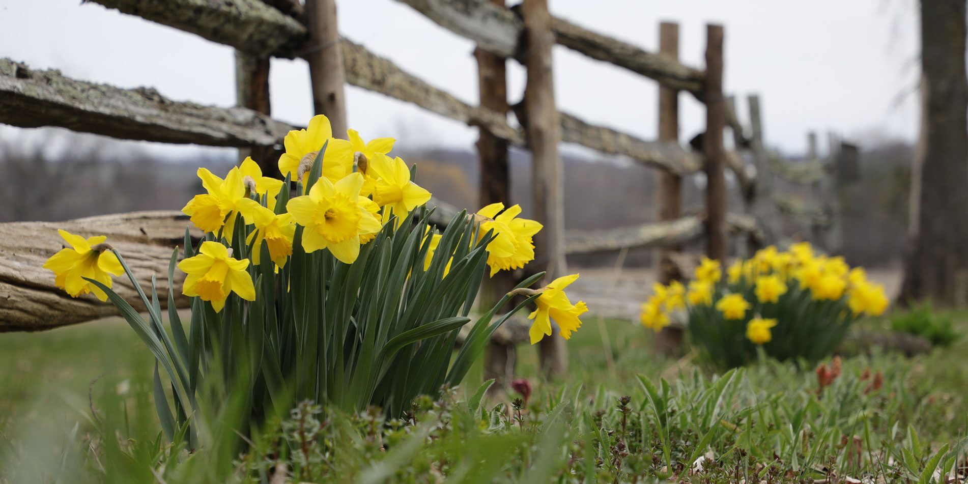 Three Places to Walk in Spring | Vermont Tourism