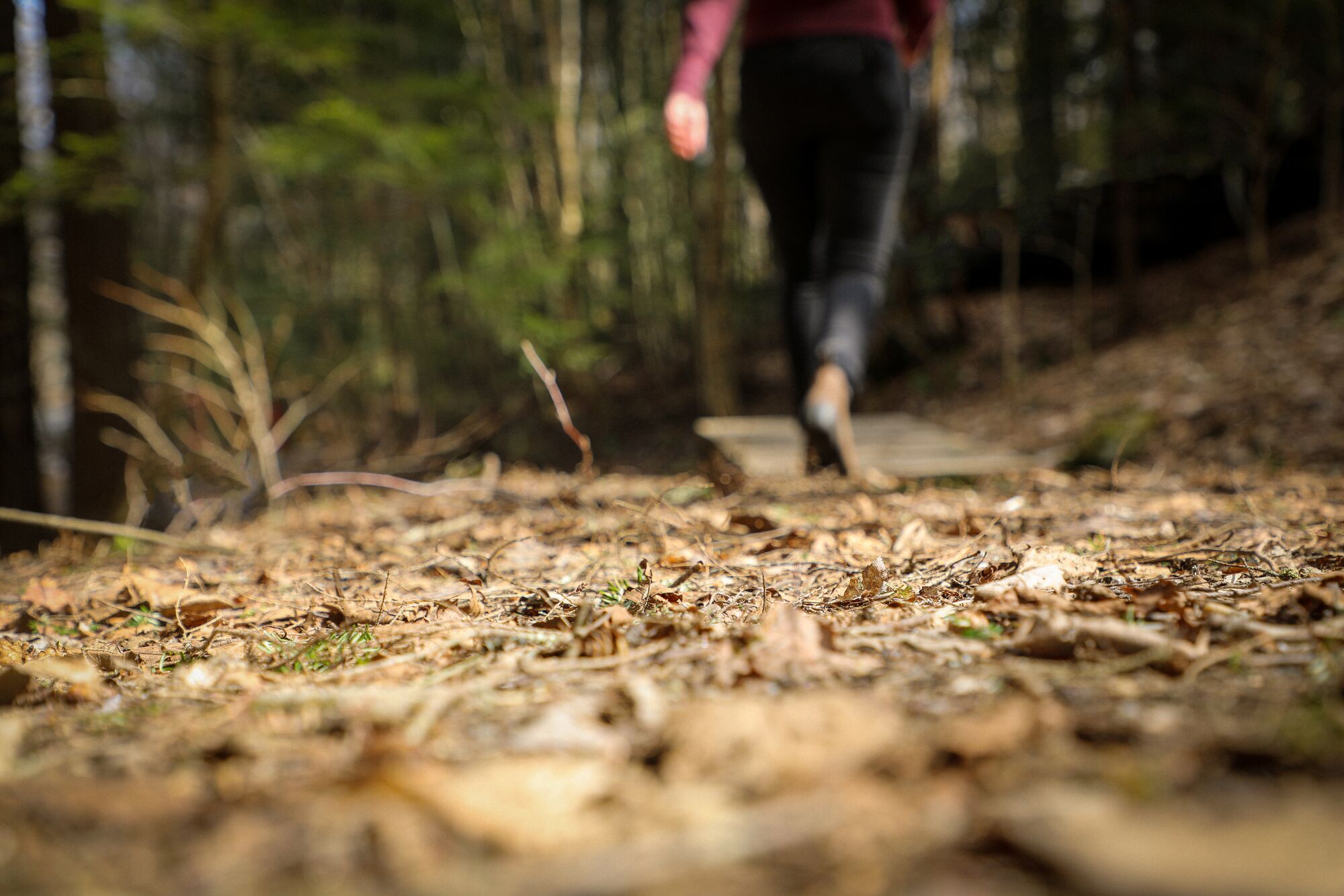 Vermont's Mud Season Hikes | Vermont Tourism