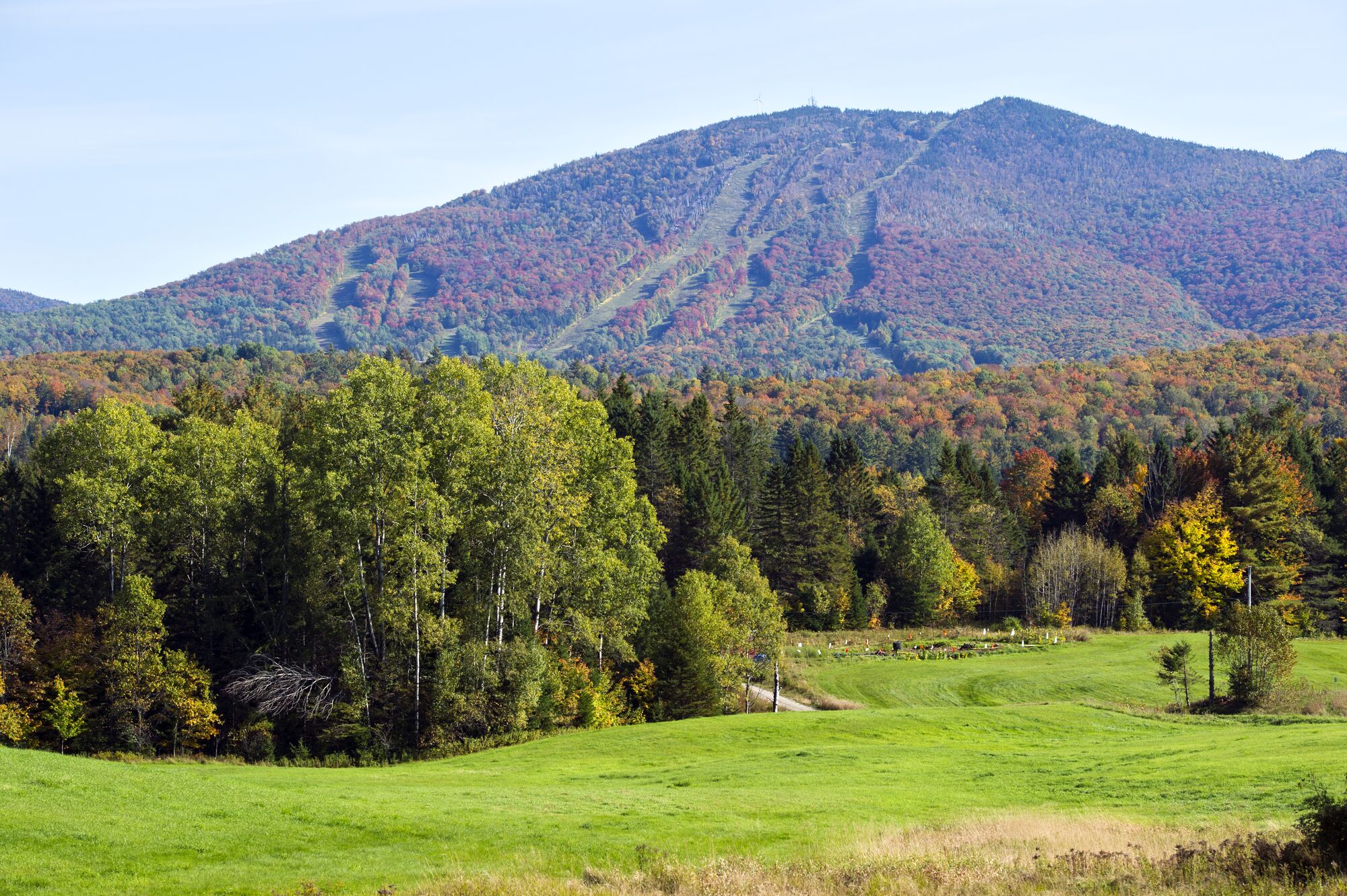 Meet Vermont Foresters | Vermont Tourism