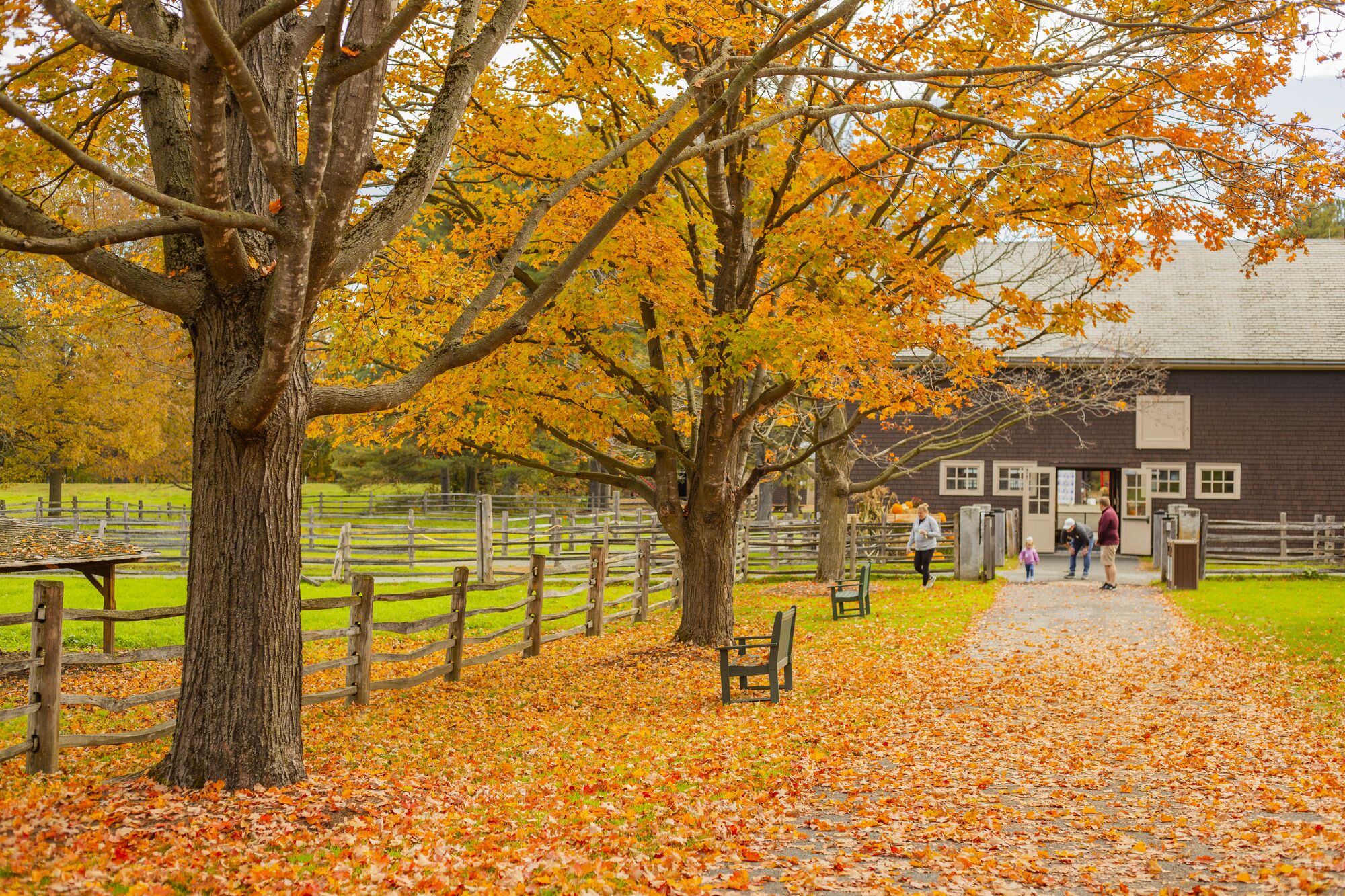 Upper Connecticut River Valley in the Fall | Vermont Tourism