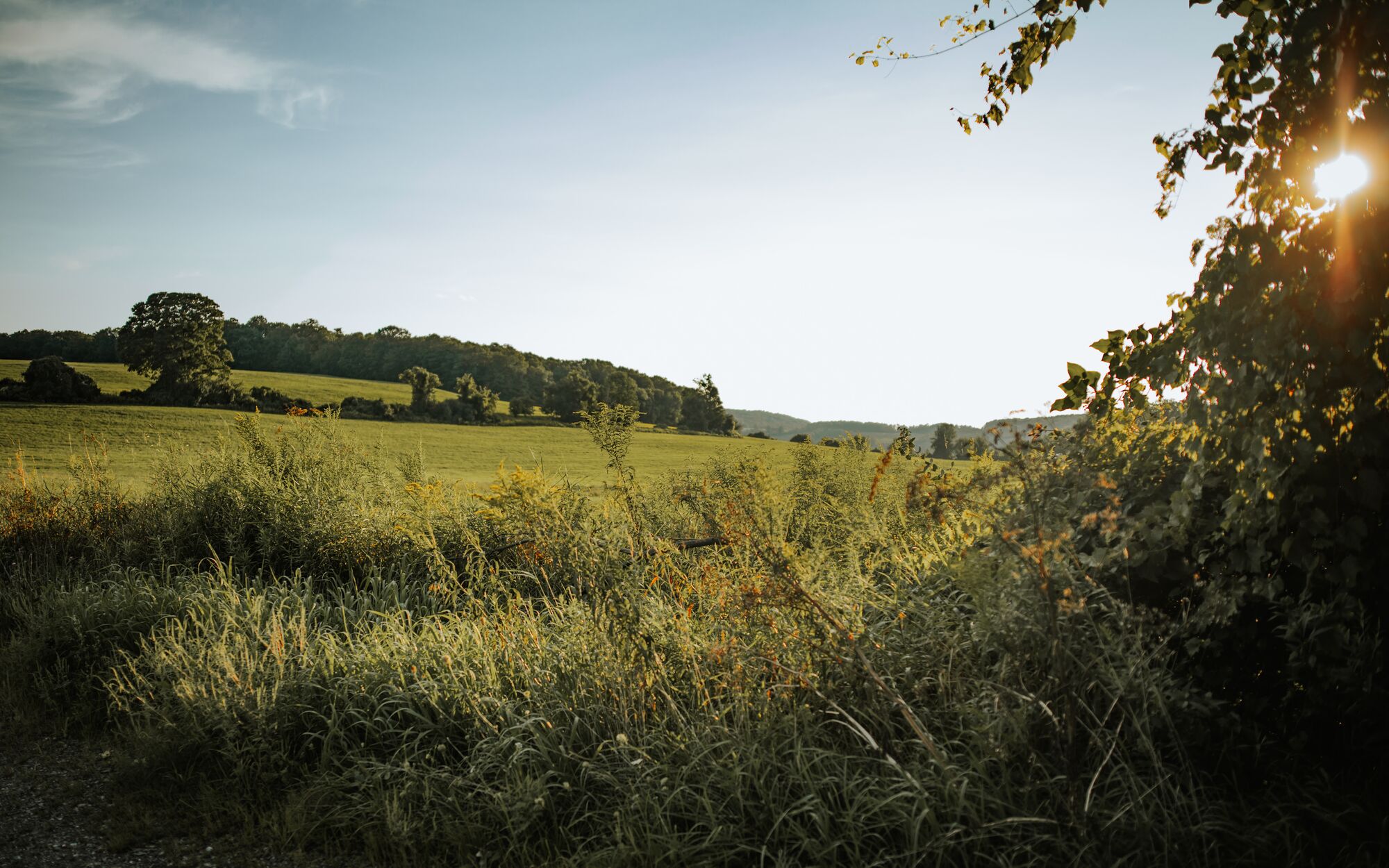 The Shires in the Spring | Vermont Tourism