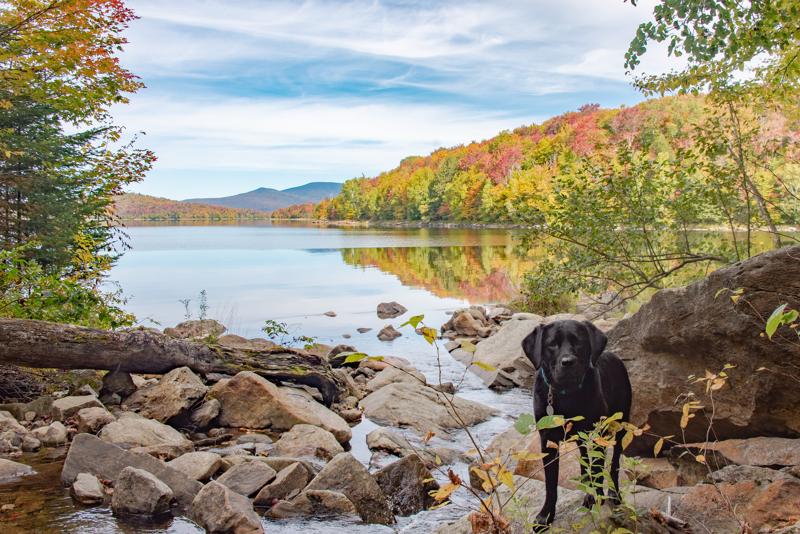 Deerfield Valley | Vermont Tourism
